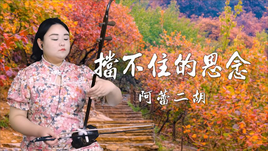 阿蕾二胡独奏《挡不住的思念》C调26弦,这首老歌都熟悉吧