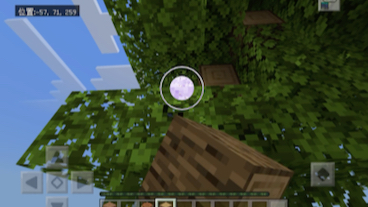 我的世界原版服务器生存第一期