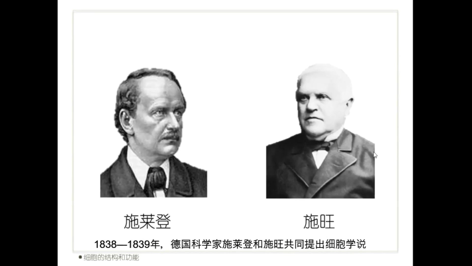 细胞的结构和功能