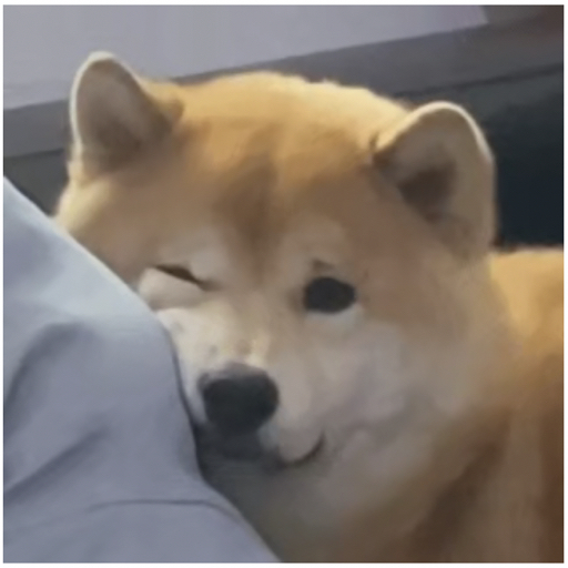 钱途最光明 