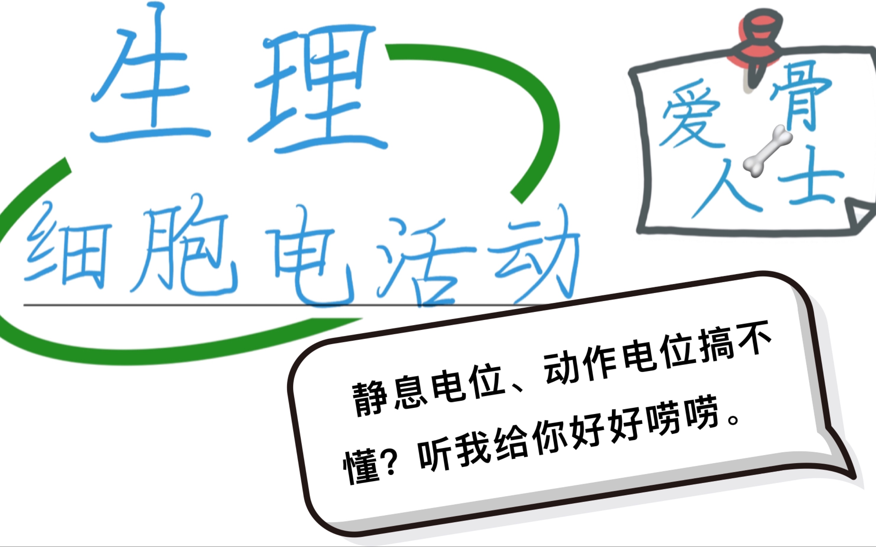 静息电位搞不懂?听我好好给你唠