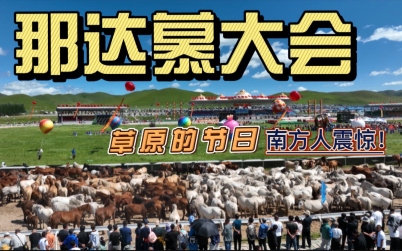 内蒙古的那达慕大会到底什么样?沉浸式体验一下马背民族的盛会!