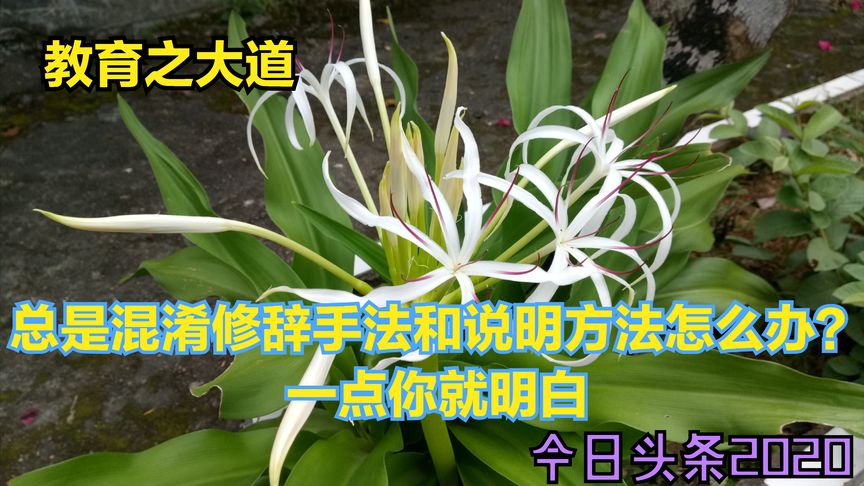 总是混淆修辞手法和说明方法怎么办?一点你就明白