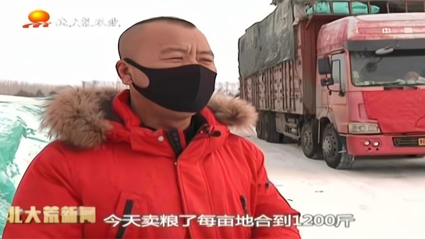 庆丰农场:发挥党建引领作用 ,促进现代农业发展