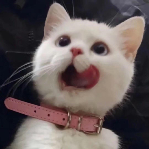 PiliPalalf 