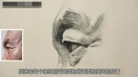 3结构素描教程小学生绘画教程_动物素描教学视频油画静物视频教程