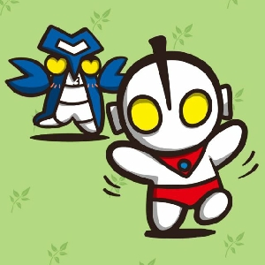 编号2423 