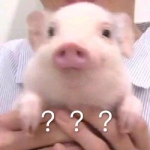 可爱真的不多 