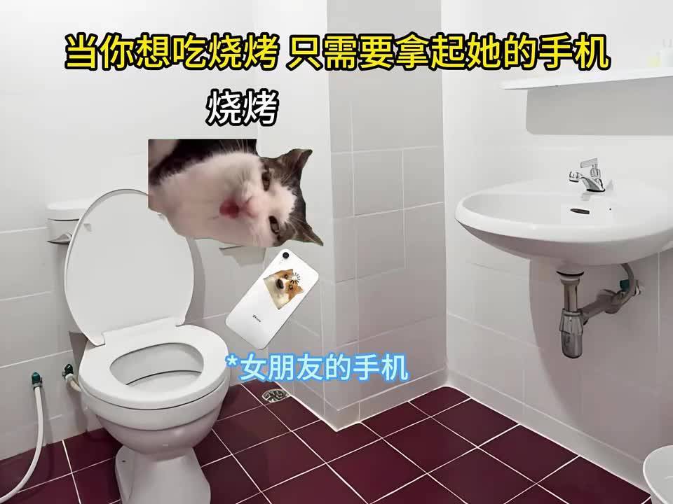 动物:手机大数据,真是好东西