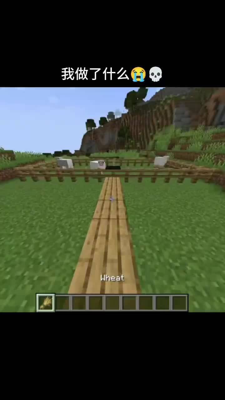 我的世界建模测试