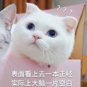 电脑简单学 