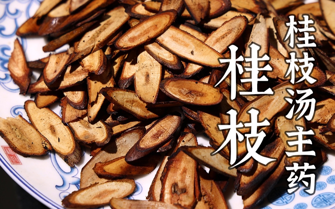 中药炮制 桂枝