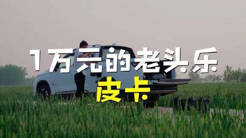 1万元老头乐皮卡开箱!能拉货能代步,是神器还是工业垃圾?