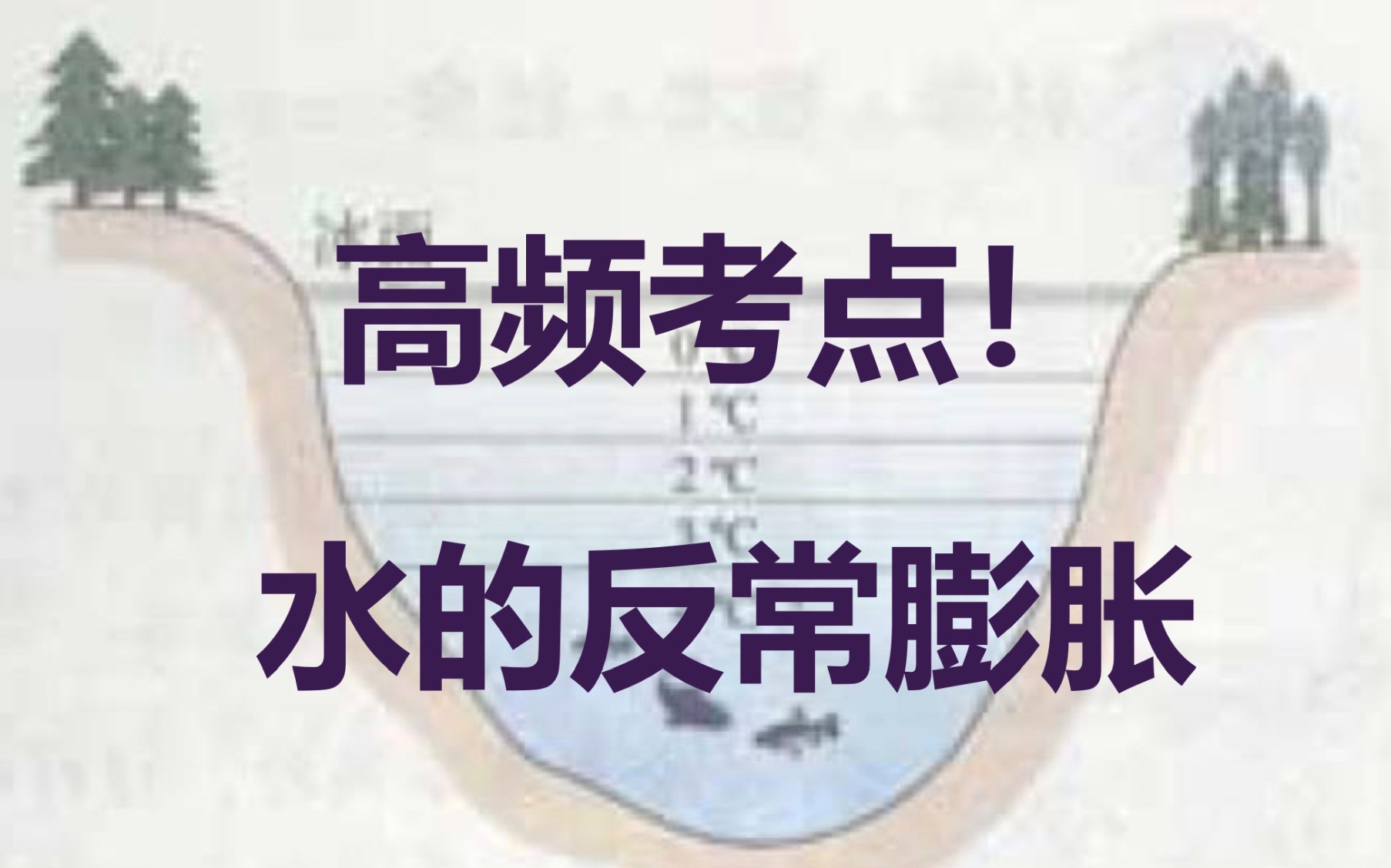 【鹤鹤物理】期末高频考点!水的反常膨胀是什么?