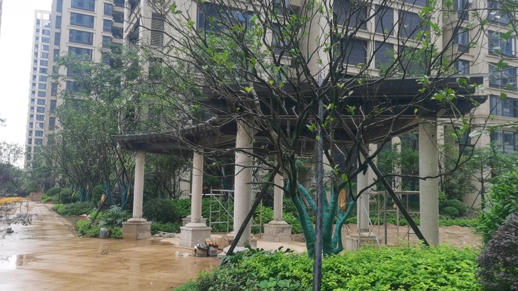 打工生涯,弧形廊架完工,在B站发的第一个视频