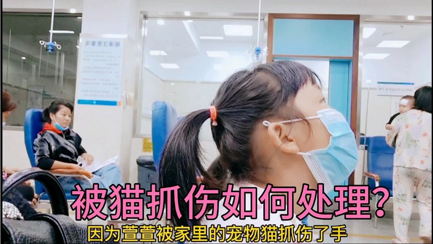 小朋友被家里的猫抓伤咬伤,如何处理?萱妈告诉你正确的方法