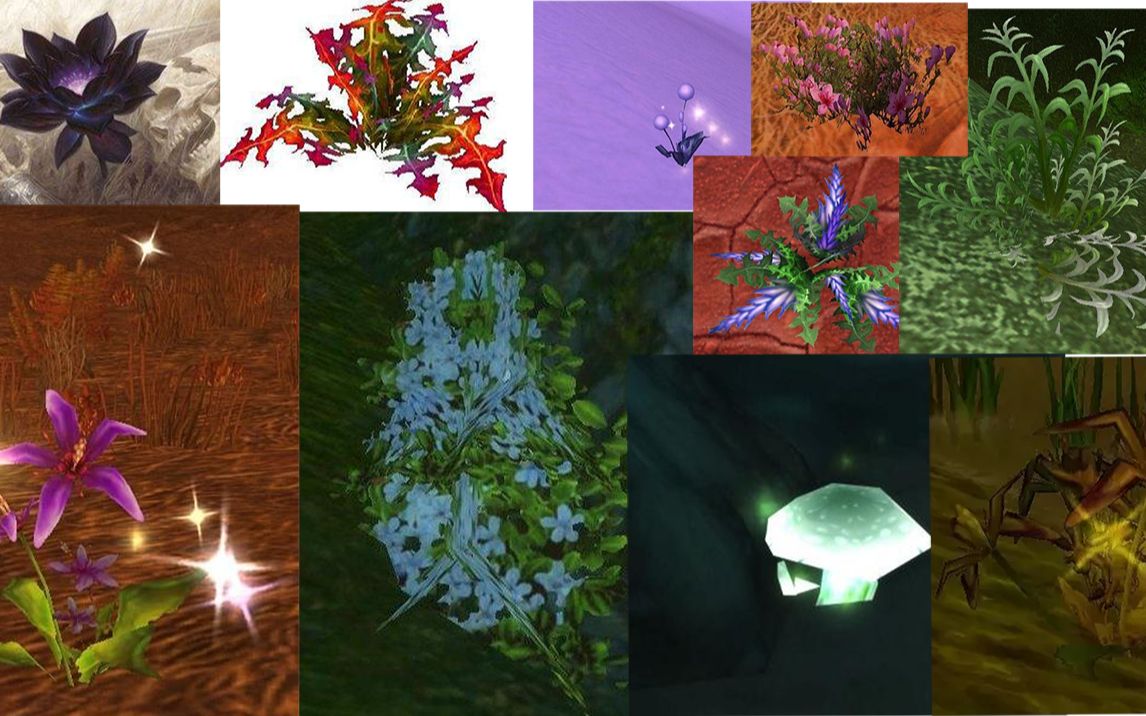 魔兽世界怀旧服联盟部落通用采集草药1-300【超详细!跟着采】