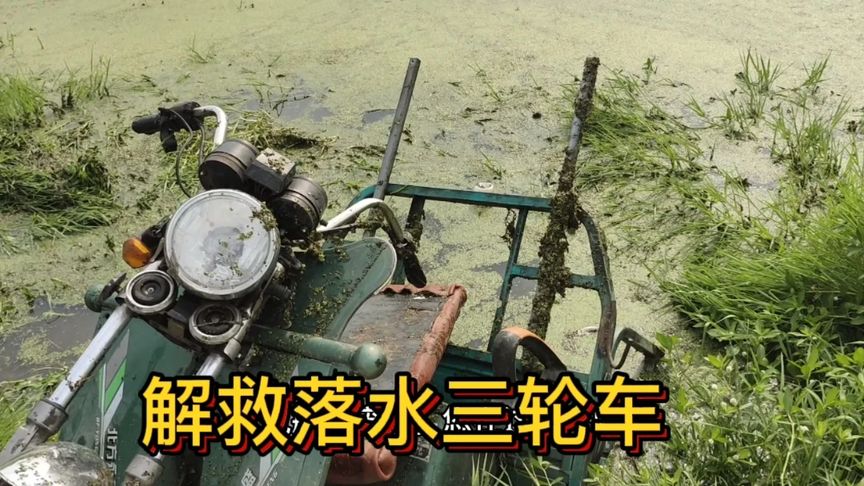 农村大哥电动三轮车掉到河里,心急如焚,奇奇和众乡亲一起帮忙捞
