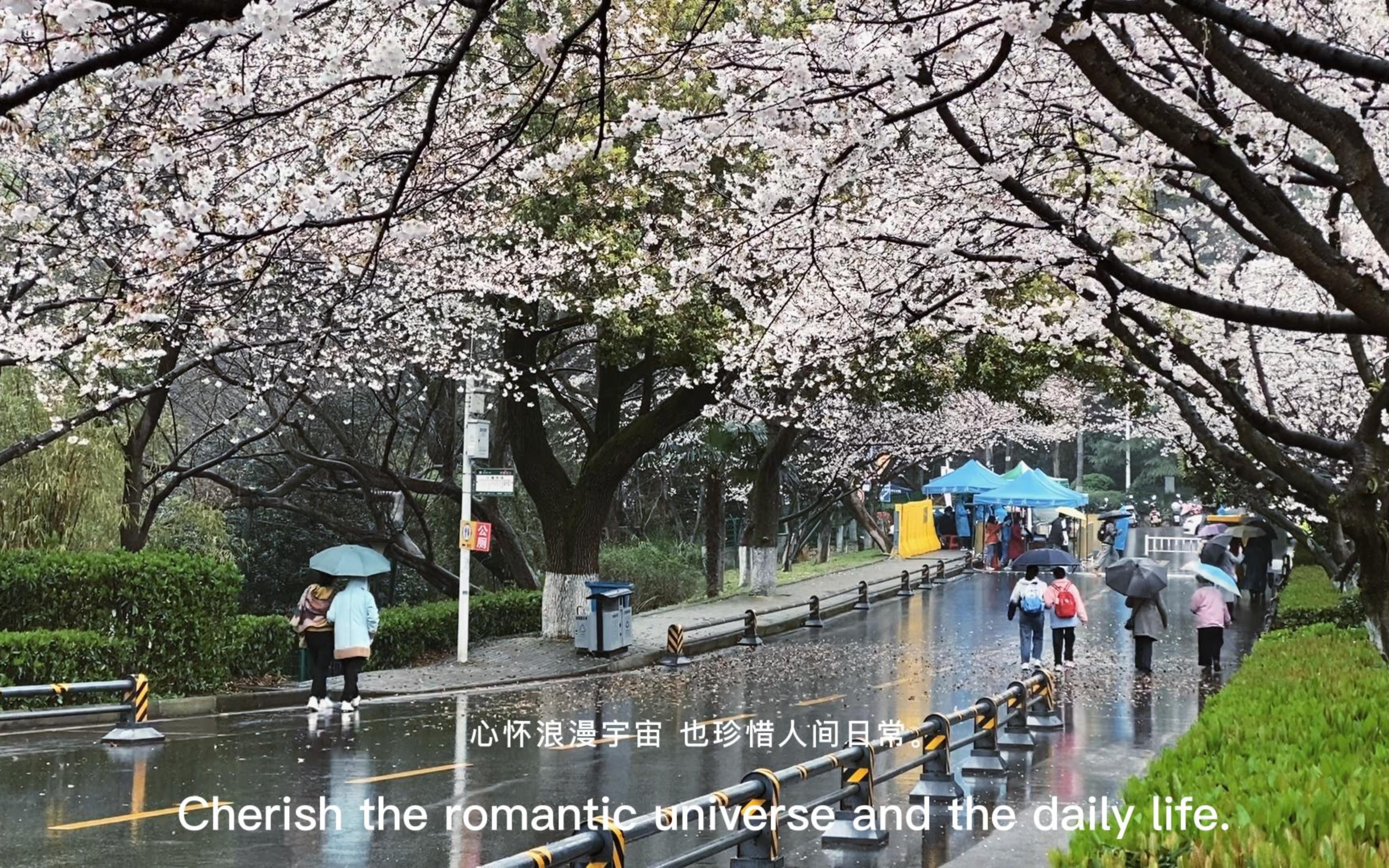 武汉大学成为中国最美大学之一,是因为樱花吗?