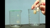 实验活动2 二氧化碳的实验室制取与性质