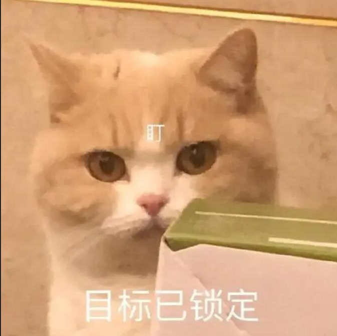 无敌无敌帅帅帅 