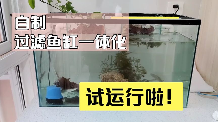 前两天自己做的玻璃鱼缸,今天试运行,大家看看可以吧?