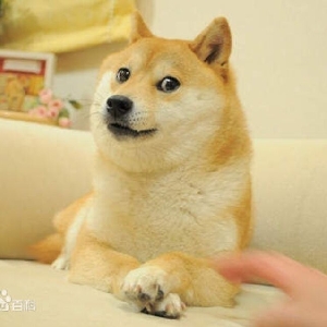 非洲土皇 