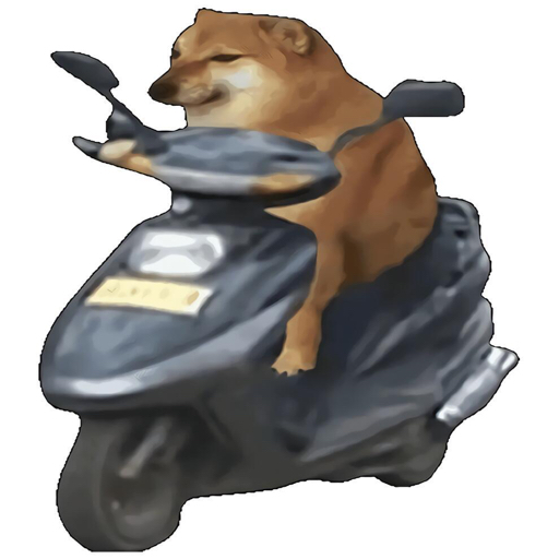我不叫潇洒哥 