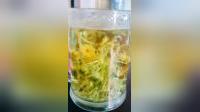 南京同仁堂:菊花决明子茶,金银花牛蒡枸杞花茶,组合小包装茶包