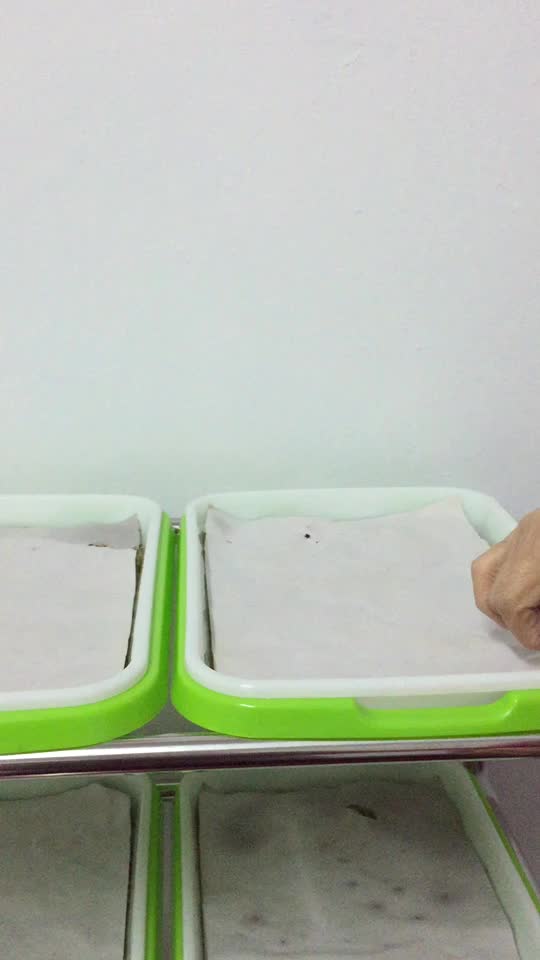 麦子的生长过程