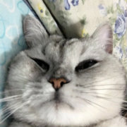 小川叫兽 