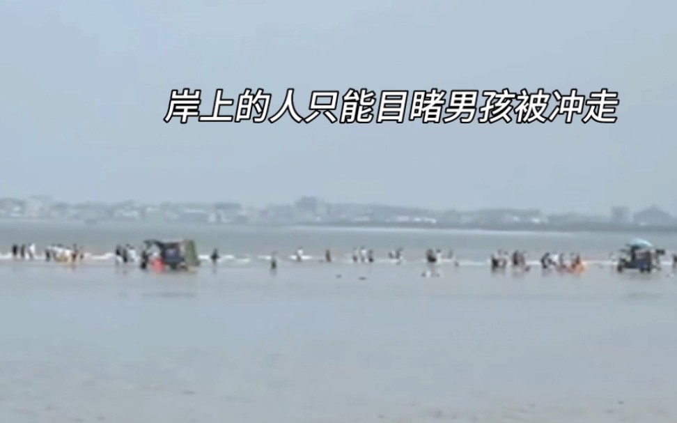...冲进大海救援,救命恩马最后牺牲#感人瞬间 #救人瞬间 #正能量传递