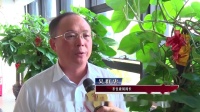 市住建局:简化流程 打造工程建设审批“高速公路”