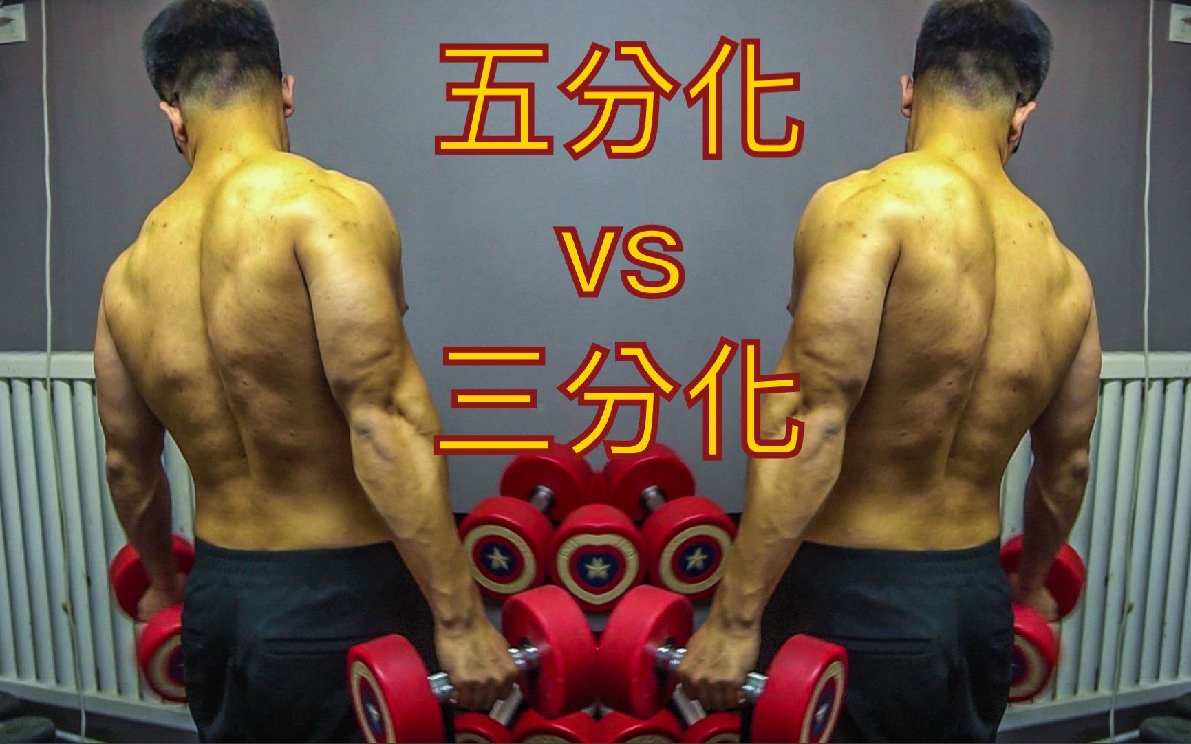 难怪你增肌慢,放弃五分化训练吧,开始新的训练模式!