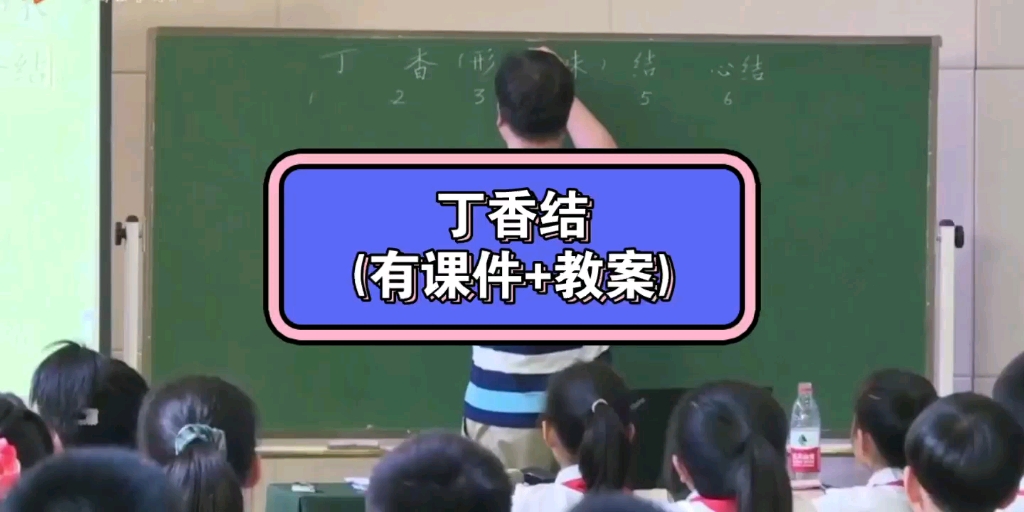 小学语文公开课,《丁香结》课堂实录,新课标