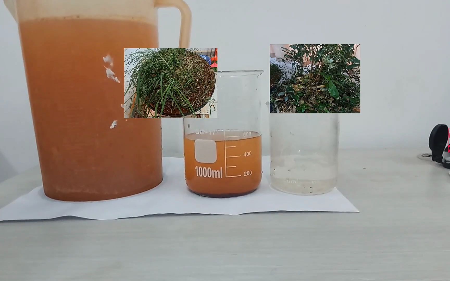 森林的水源涵养