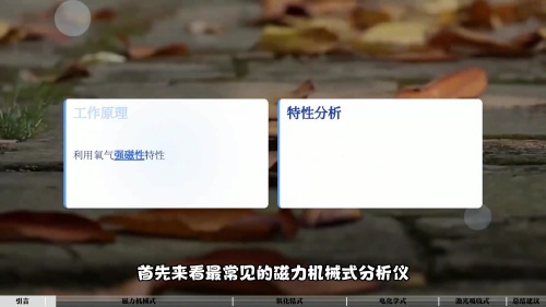 氧含量分析仪工作原理