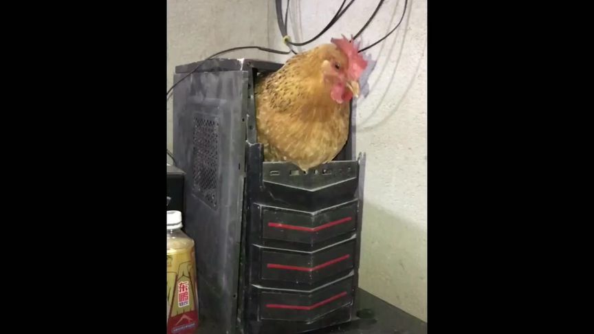 (捡垃圾)被忽略的超强CPU.加400捡来的X99主板.性能怎么样