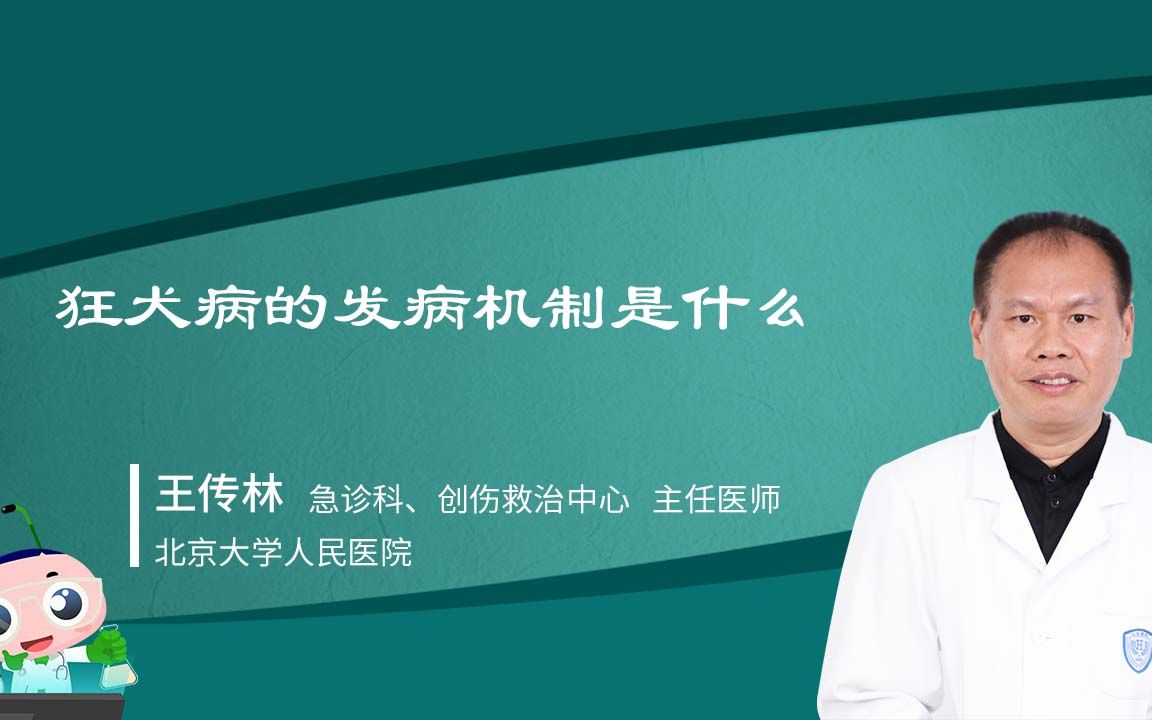 狂犬病的发病机制是什么