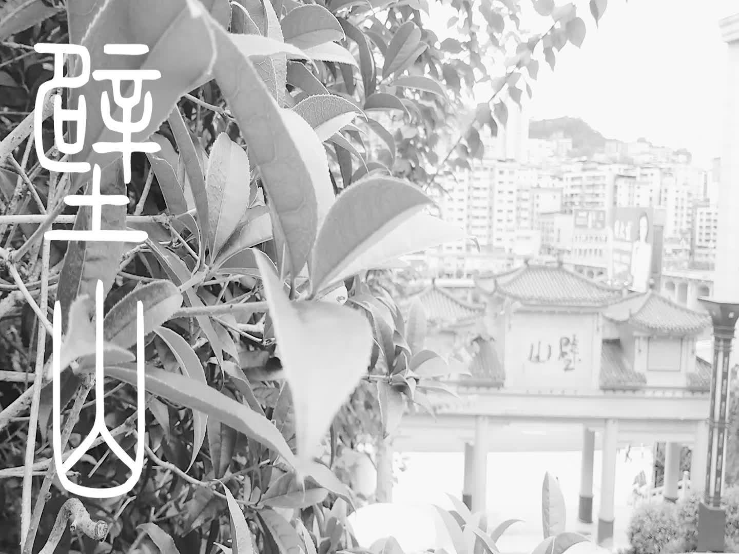 学习了2天的PR,一直用AE剪视频,有点累还是来学学吧!这个是我家乡的...