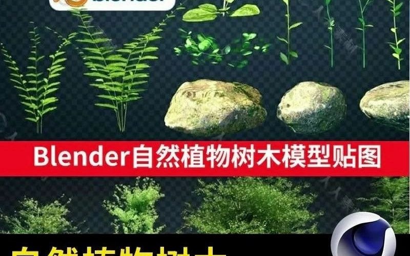 Blender自然植物树木枝干石头场景模型贴图3D模型三维素材