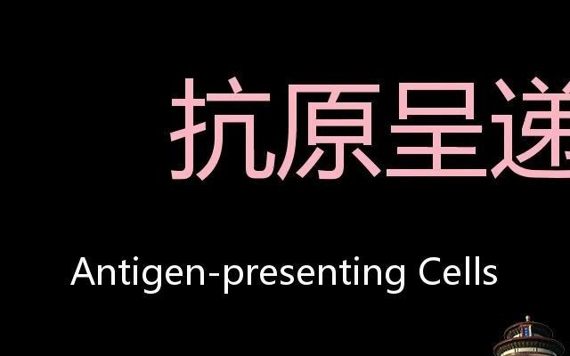 抗原呈递细胞 Chinese Pronunciation Antigen-presenting cells