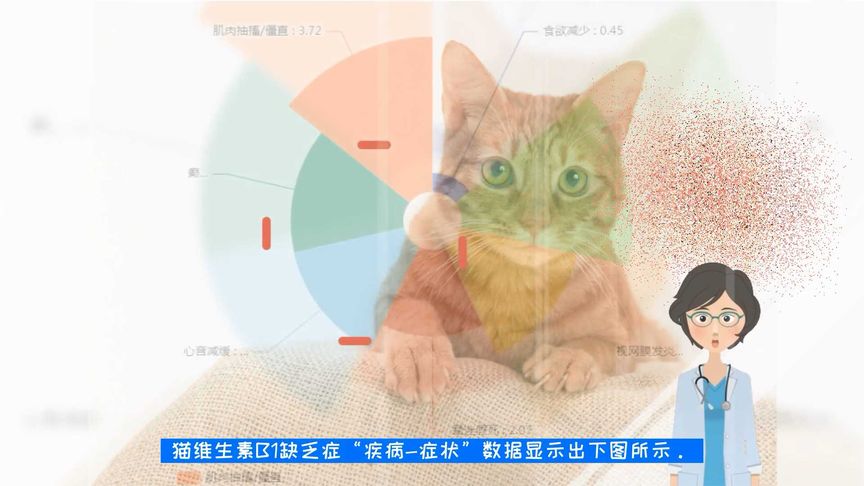 猫缺维生素b1严重症状,如何治疗?