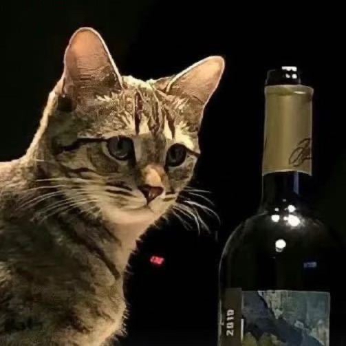 安德烈猫 