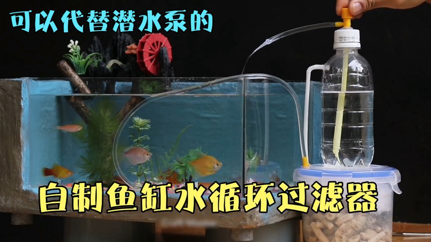 不费一度电的，自制鱼缸水循环过滤器，节能又环保。