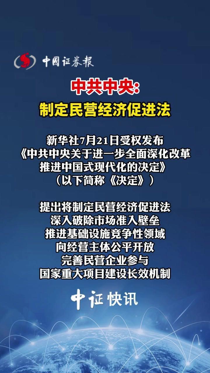 中共中央:制定民营经济促进法