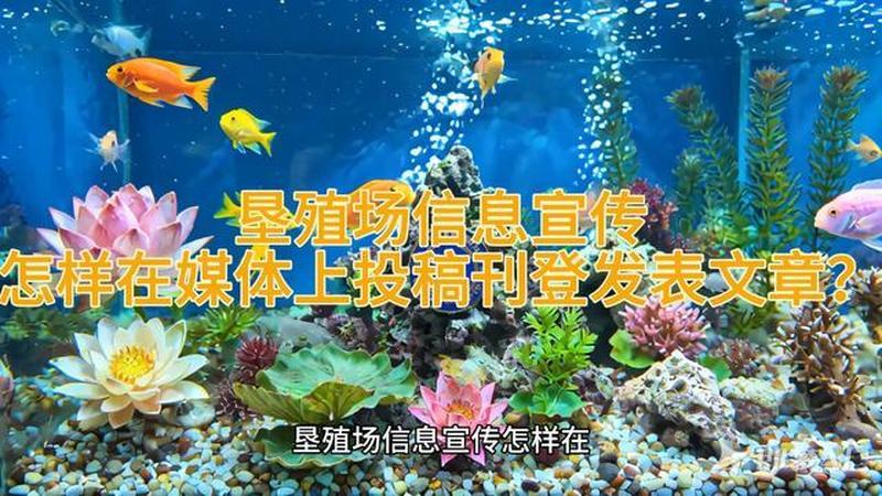 垦殖场信息宣传怎样在媒体上投稿刊登发表文章?