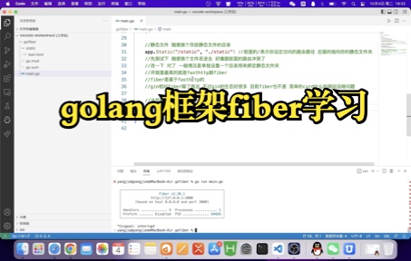 golang语言web框架fiber学习03:路由分组和中间件简讲