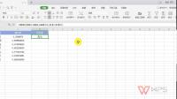 WPS Office办公软件表格excel-隐藏公式