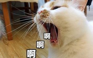 零基础自学俄语入门第二课:俄语字母发音,代词